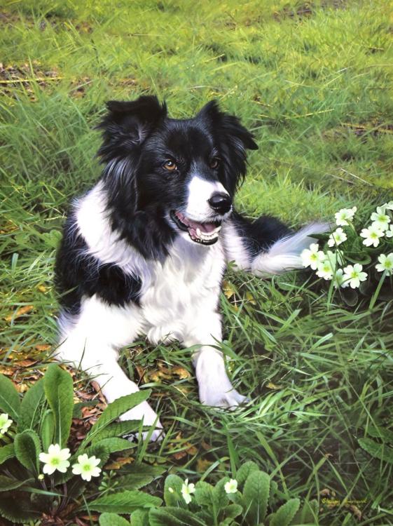 STEVEN TOWNSEND (born 1955); watercolour, 'Isla', signed with God the ...